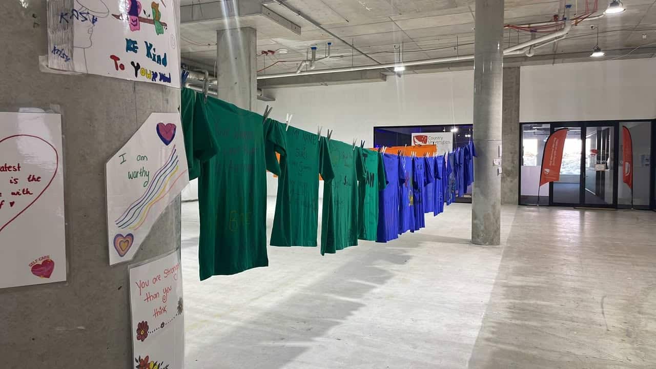 Support for victims of violence: The Clothesline Project